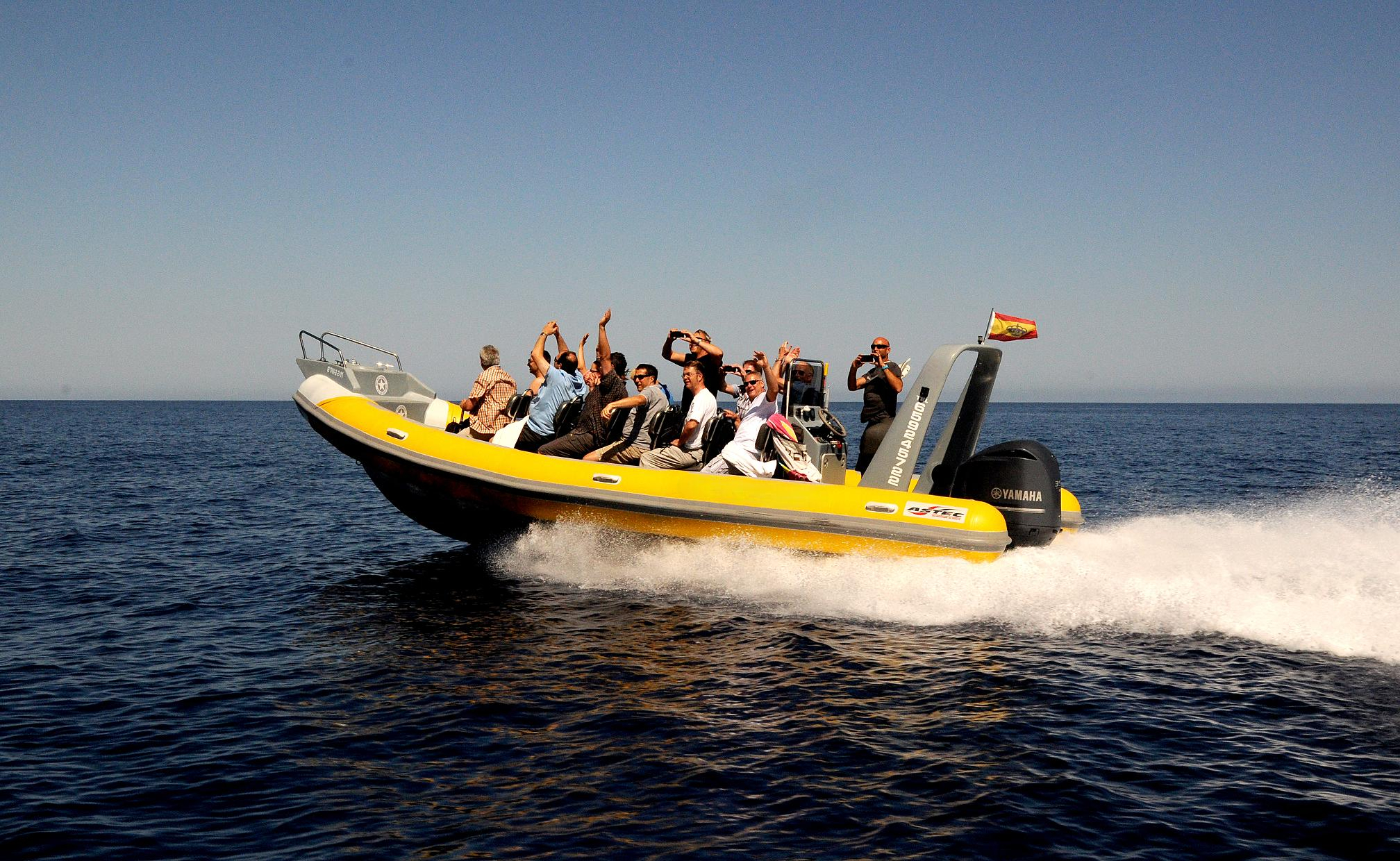 Boat Tours Alcúdia | Book or gift online | Freedome