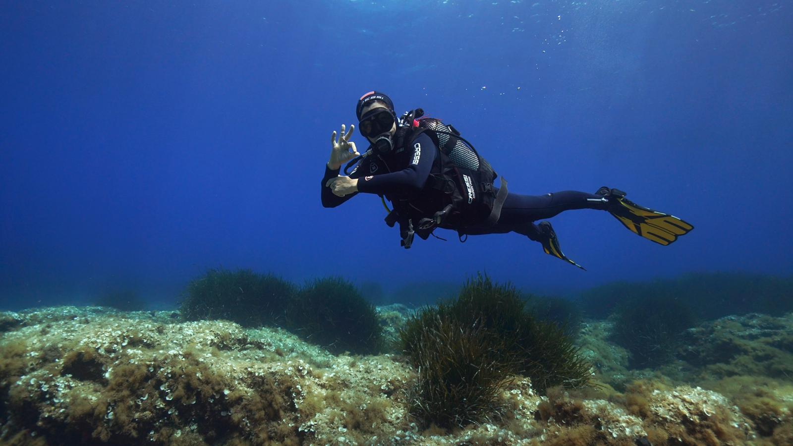 Scuba Diving Binibeca | Starting from €65 | Freedome