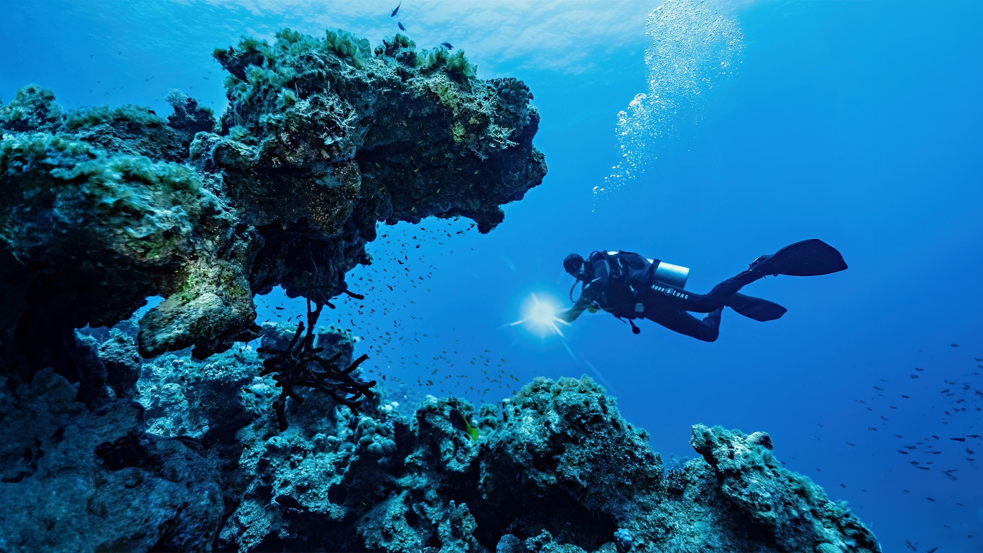 Scuba Diving in Spain | Freedome