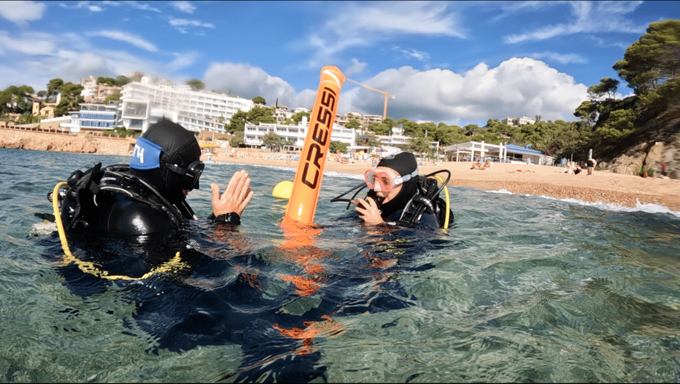 Scuba Diving Tossa de Mar | 2 diving at the best price | Freedome