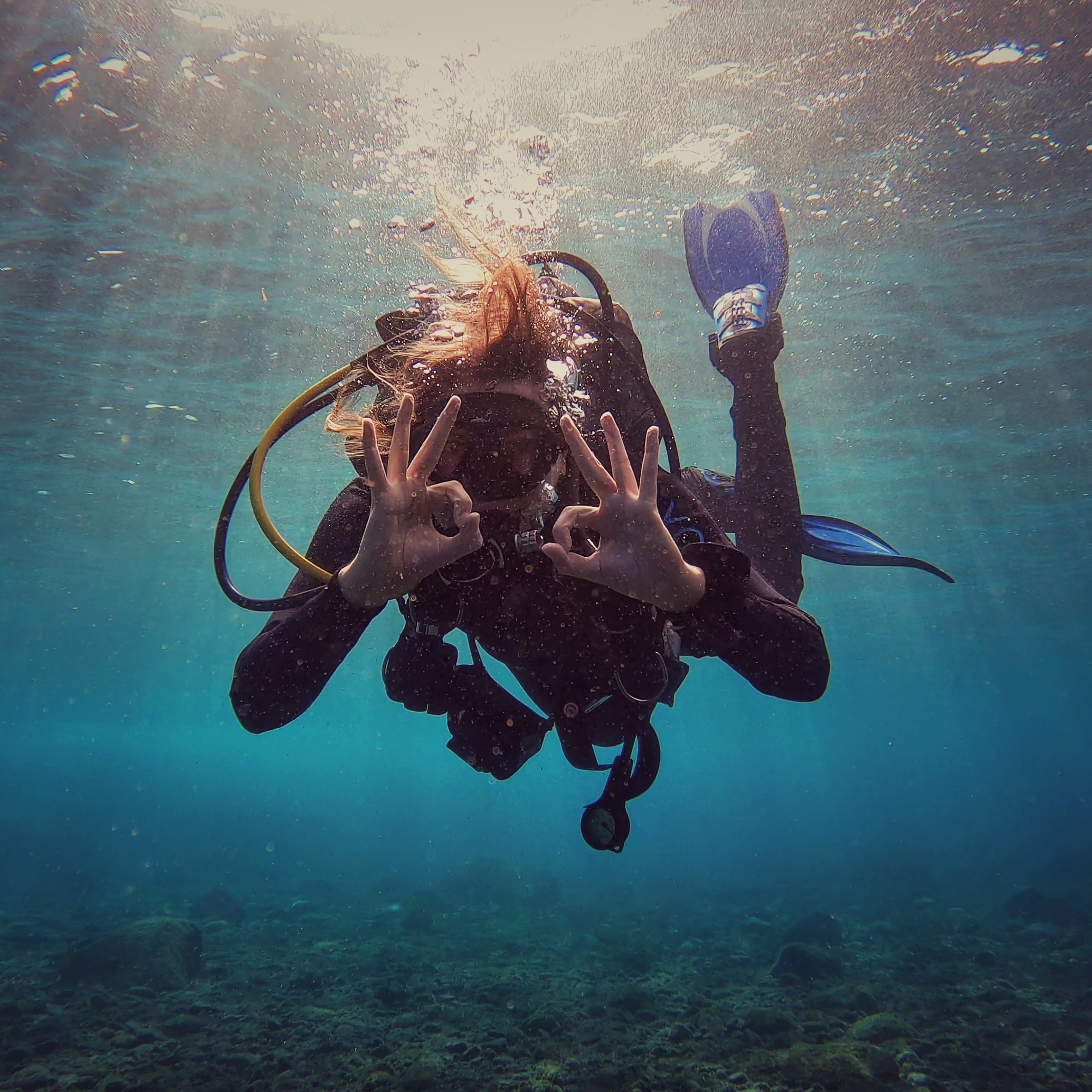 Scuba Diving Tenerife | Starting from €75 | Freedome