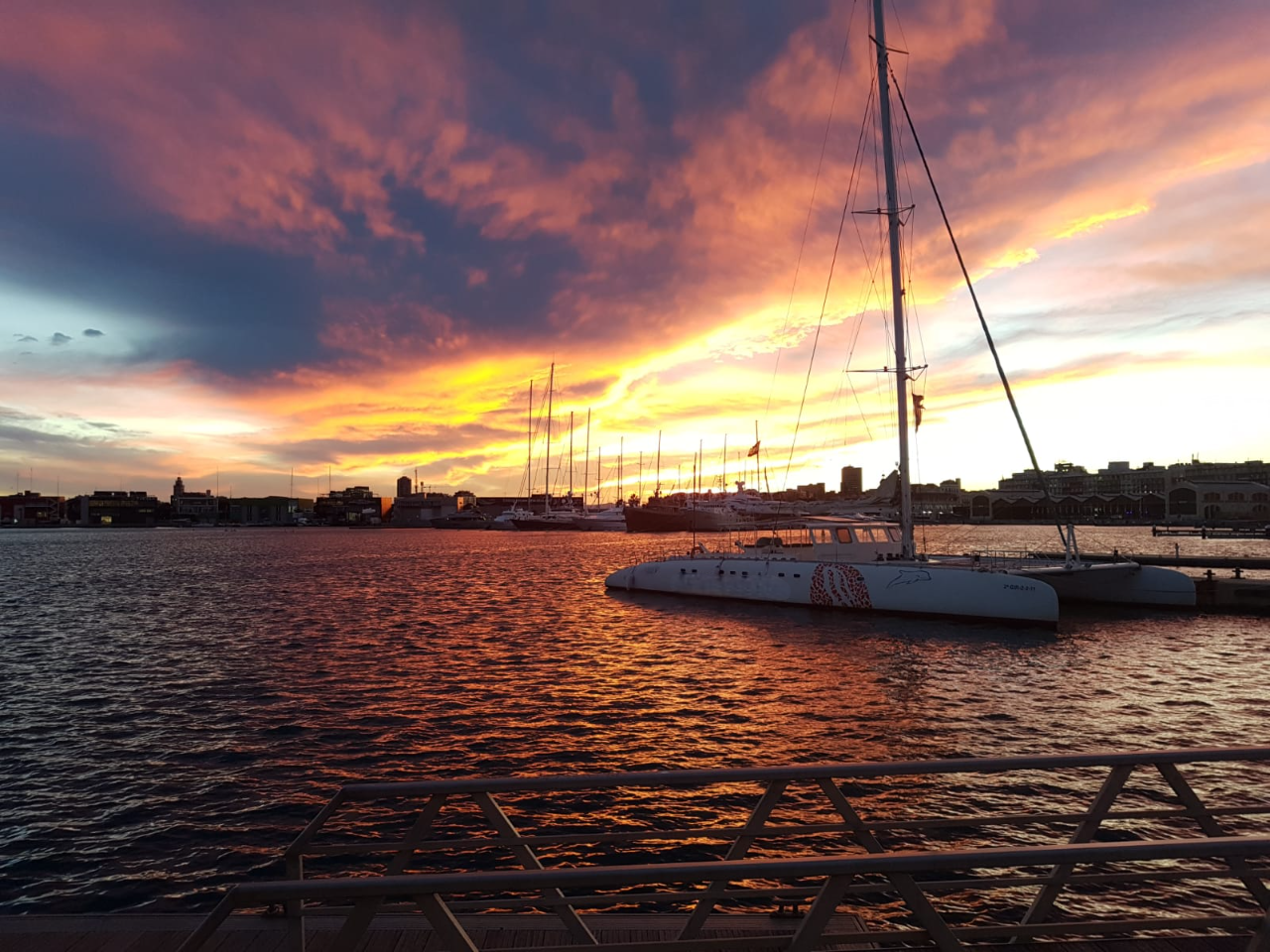 Boat Tours Valencia | Starting from €25 | Freedome
