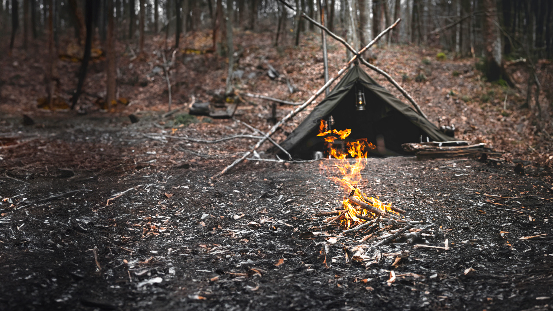 Survival Training in Spain | Freedome