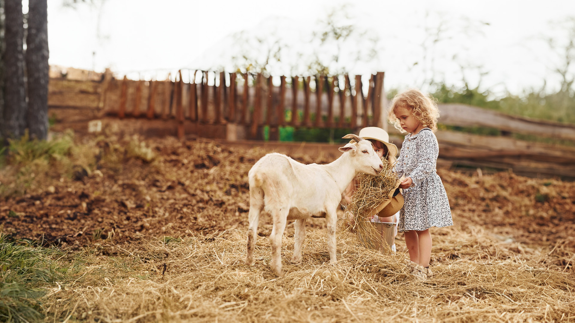 Granja escuela en España | Freedome