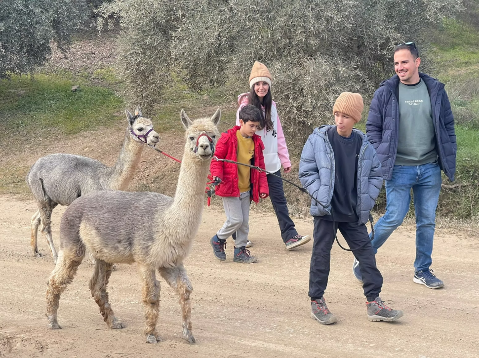 Paseos con alpacas Andalucía | Reserva o regala online | Freedome